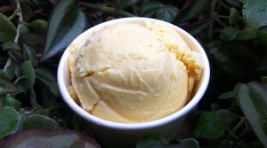 Tapi Tapi ice cream: championing the flavours of Africa – selamta