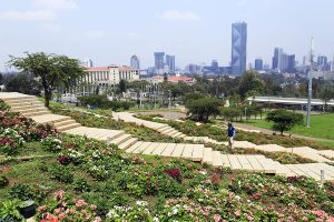 8 of the best parks to explore in Addis Ababa – selamta