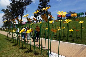 8 of the best parks to explore in Addis Ababa – selamta